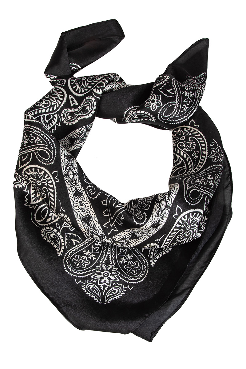 Paisley Border Pattern Square Scarf - Fame Accessories